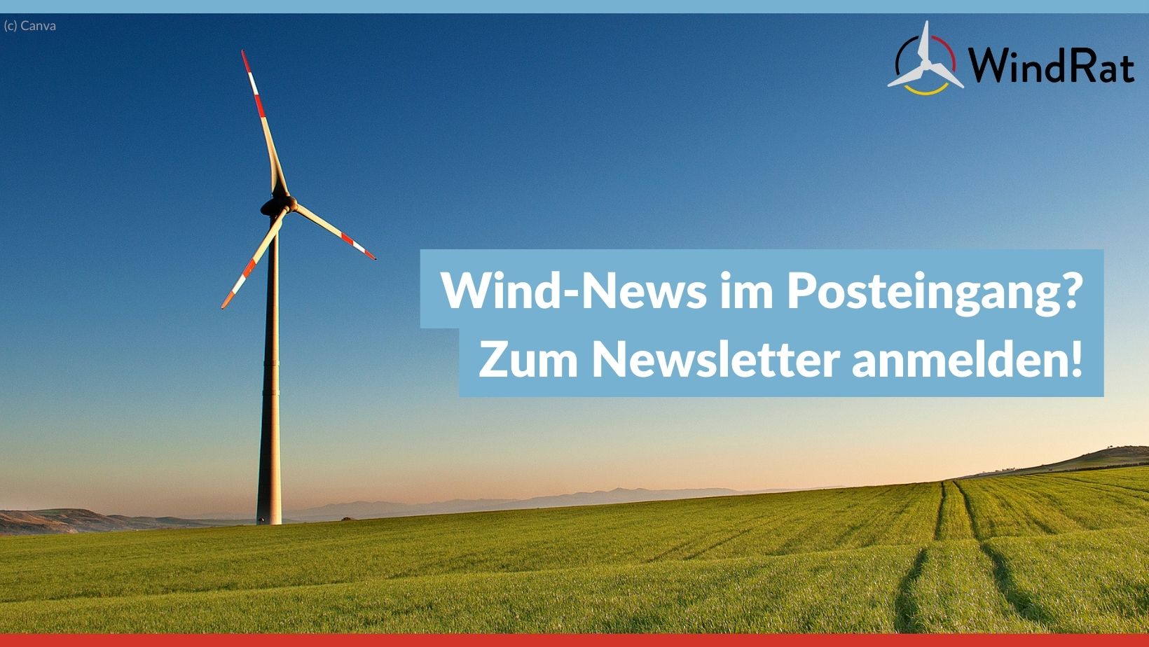 Newsletter - Wind-Rat